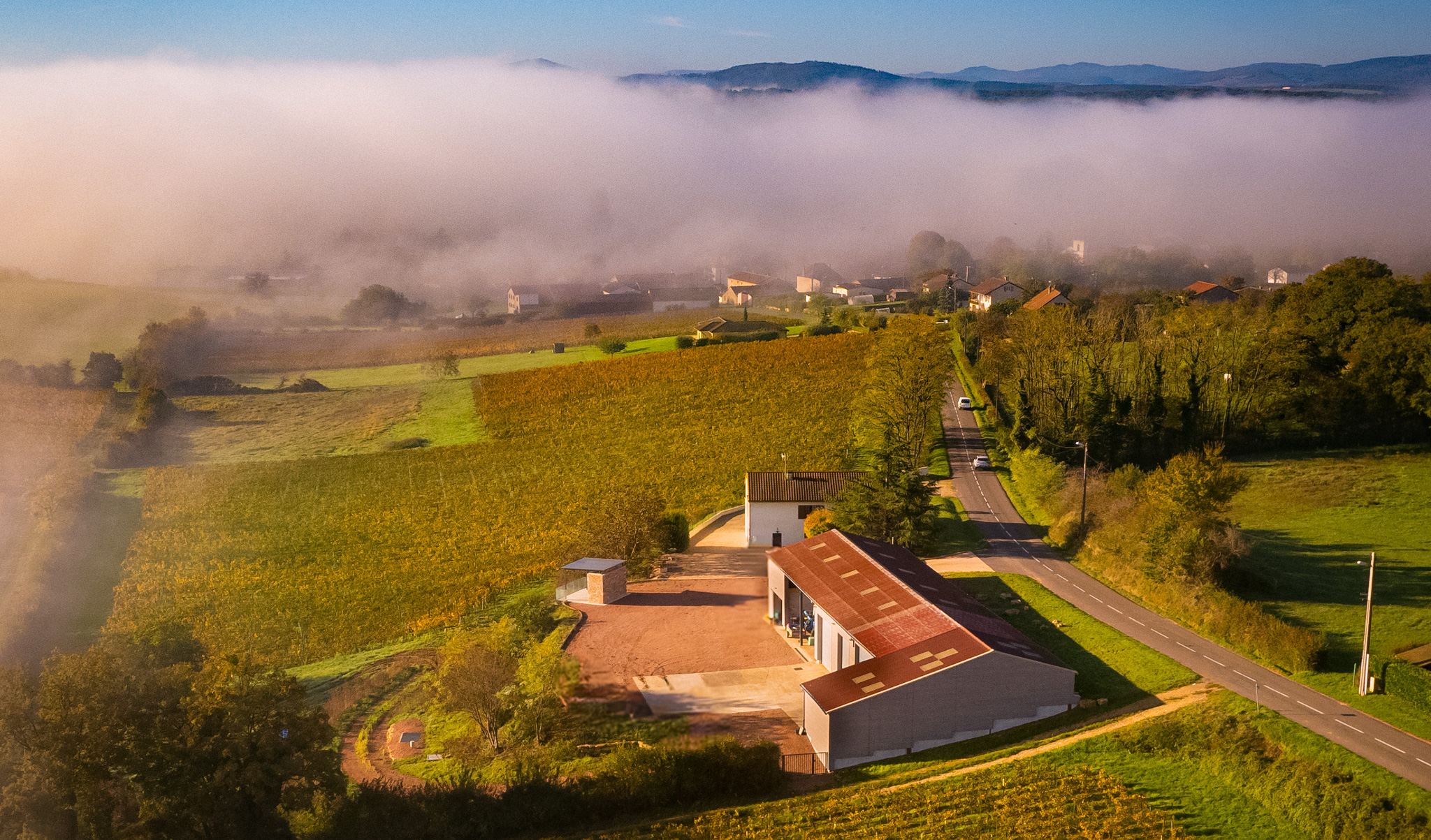 DOMAINE DE CHASSIPOL - Maison Jean Loron