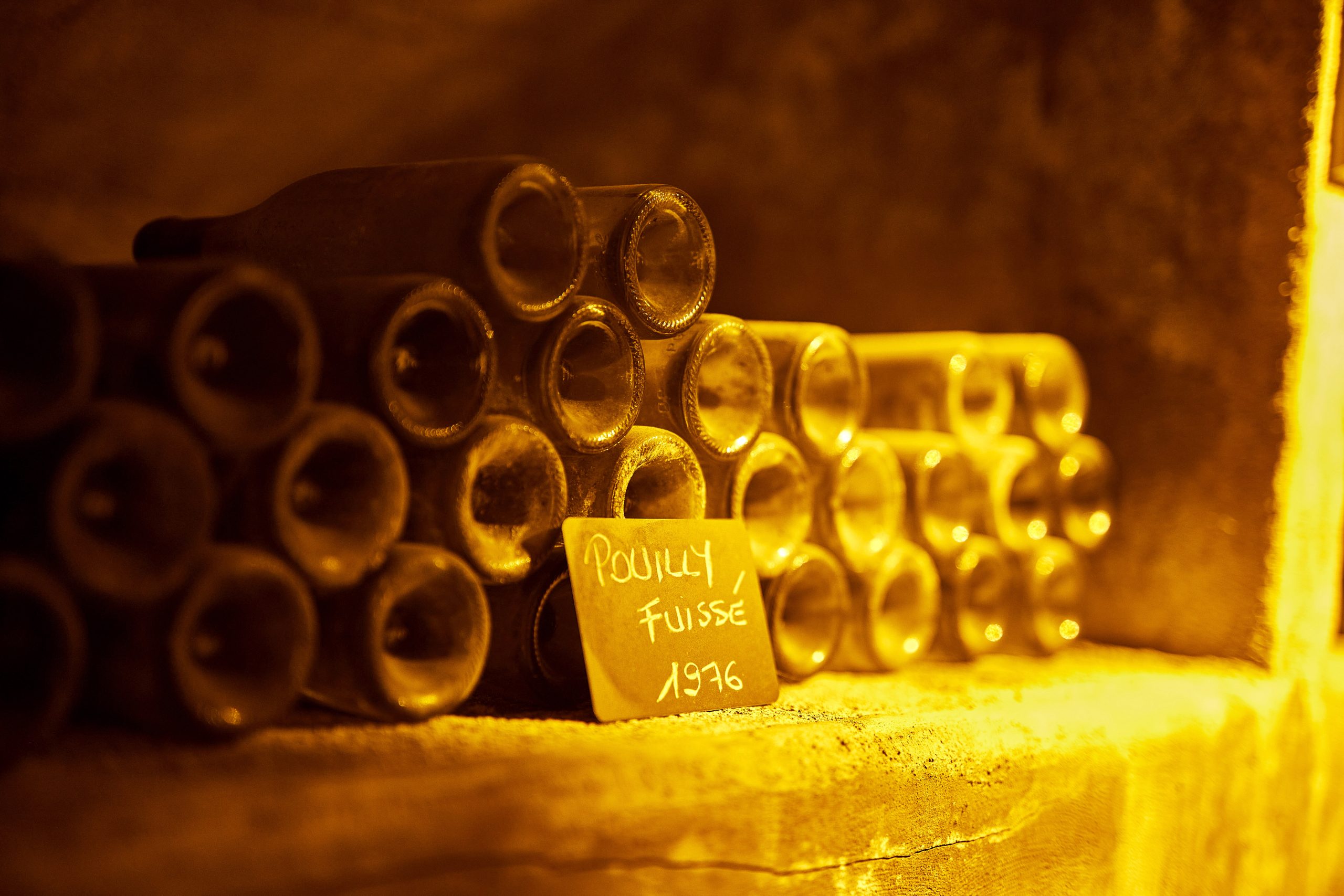 Visite et dégustation de 5 vins à la Maison Jean Loron - Domaines Loron ...
