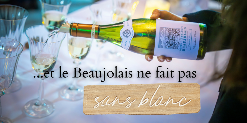 Novembre 🪇 Coup de projecteur mondial sur notre beau vignoble ...